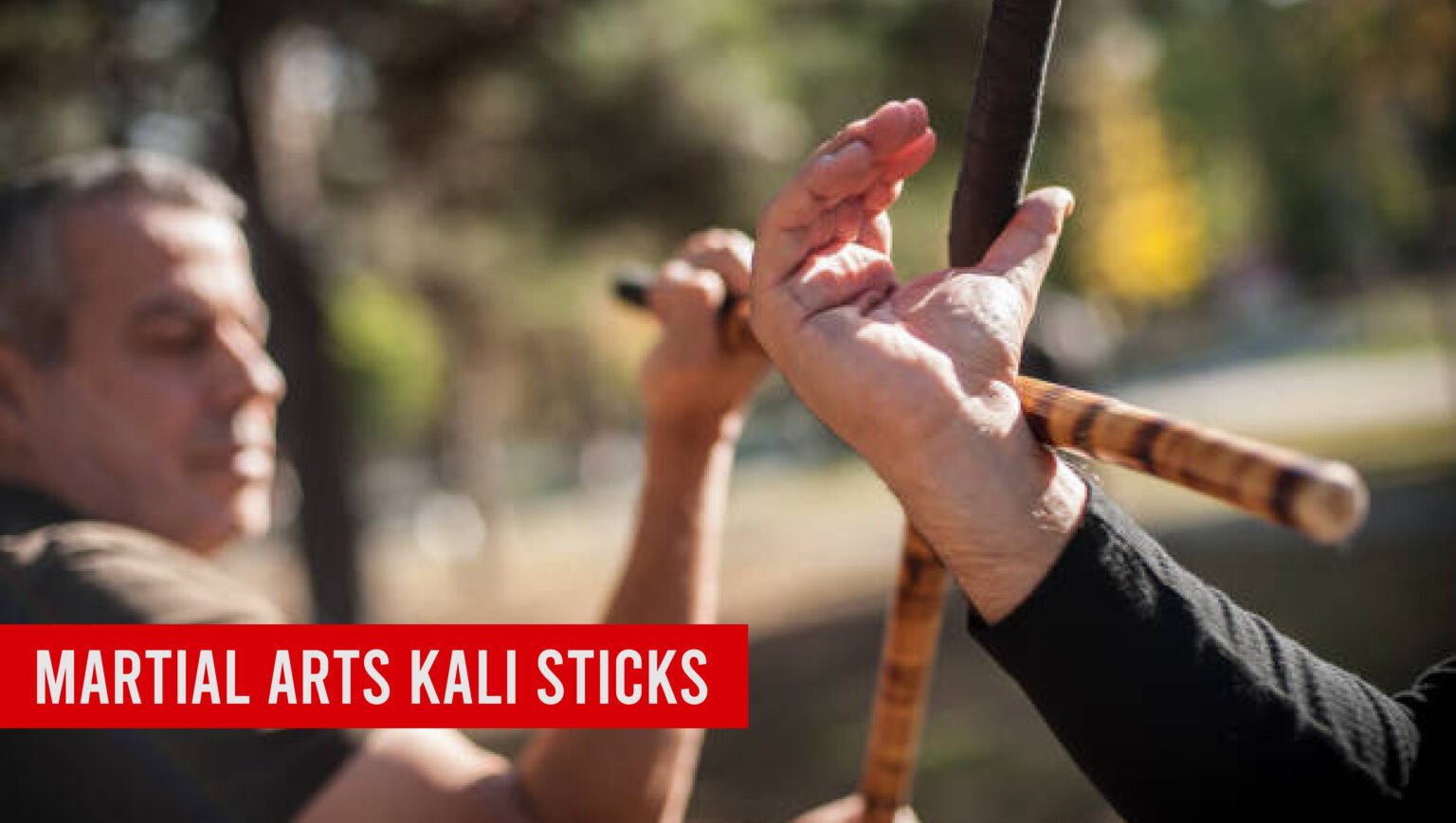 Martial Arts Kali Stick Master the Techniques History and Powerful ...